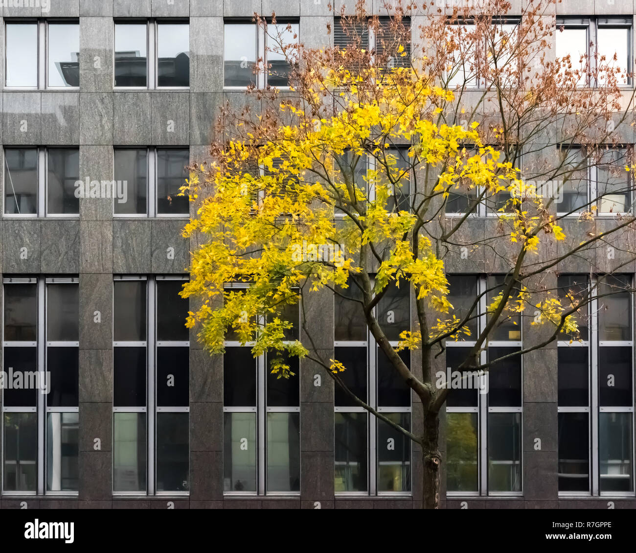 Downtown marble fall hi-res stock photography and images - Alamy