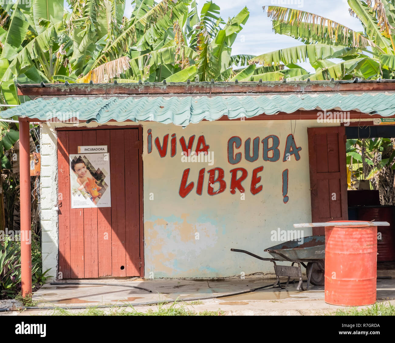 Slogan painted on the wall of a work shed at a crocodile breeding farm ...