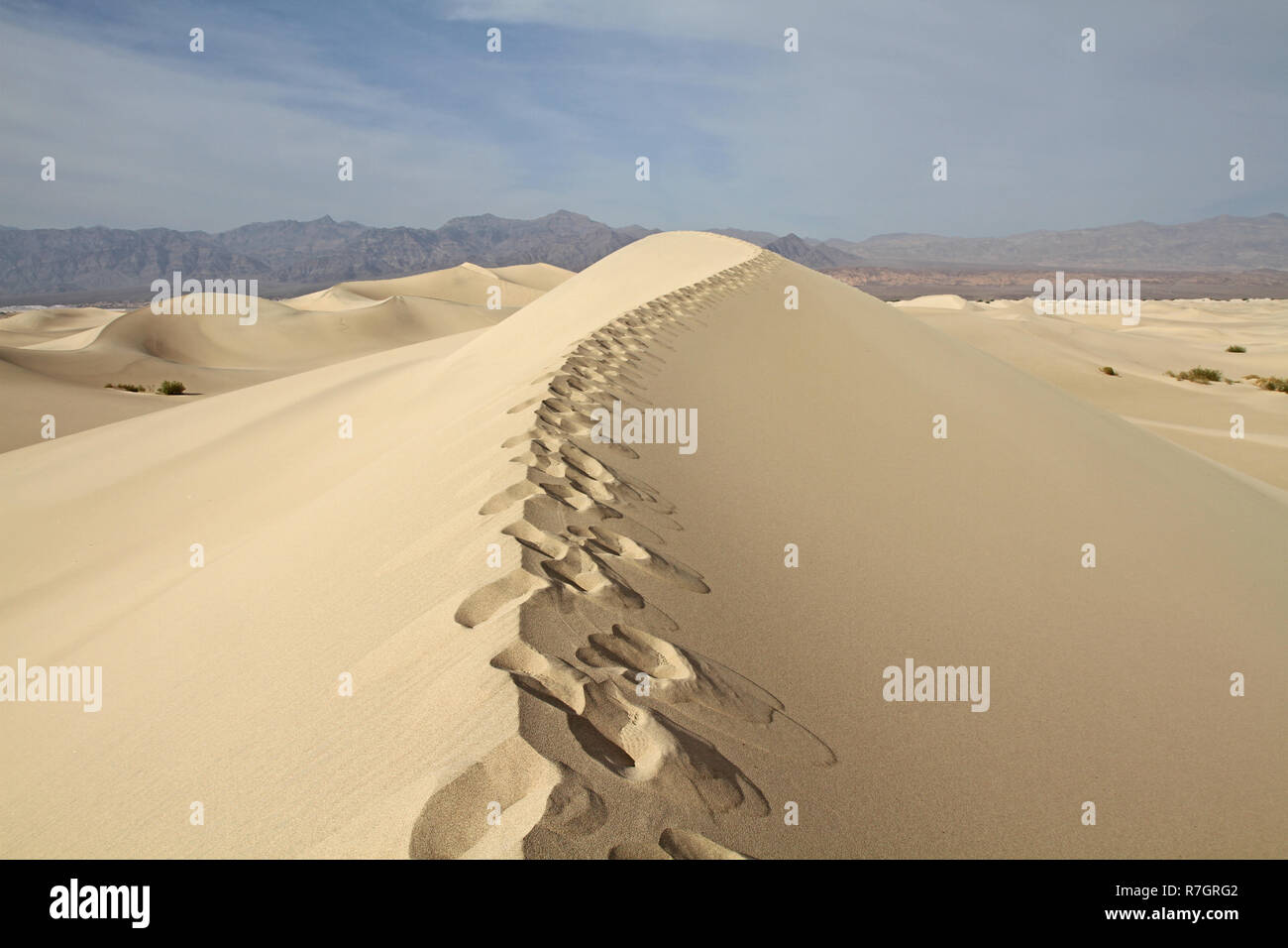 Human Footprints High Resolution Stock Photography and Images - Alamy