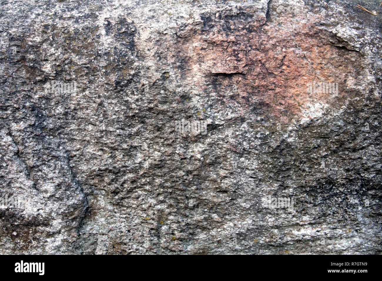 Uneven surface of big grey granite boulder with pink inclusion, may be ...
