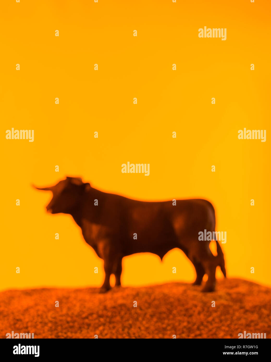 Bulls bear hi-res stock photography and images - Alamy