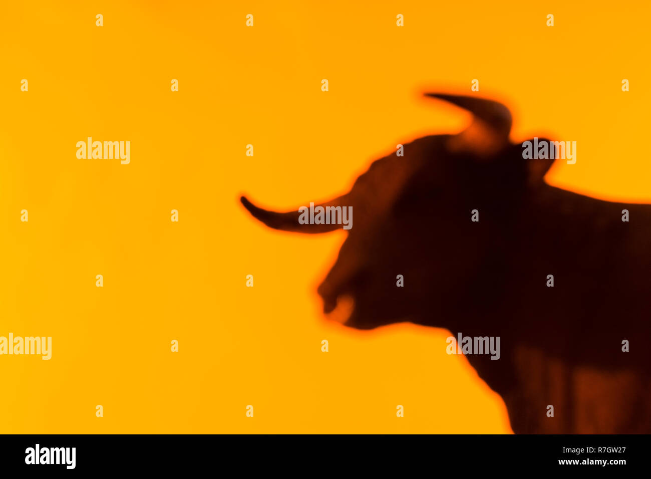 Toy bull against orange-yellow glowing sunset type backdrop. Metaphor ...