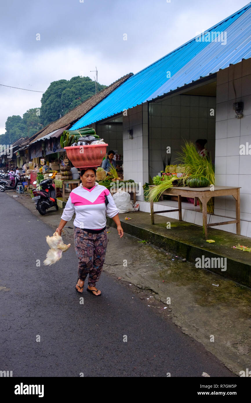 Live chickens bali hi-res stock photography and images - Alamy