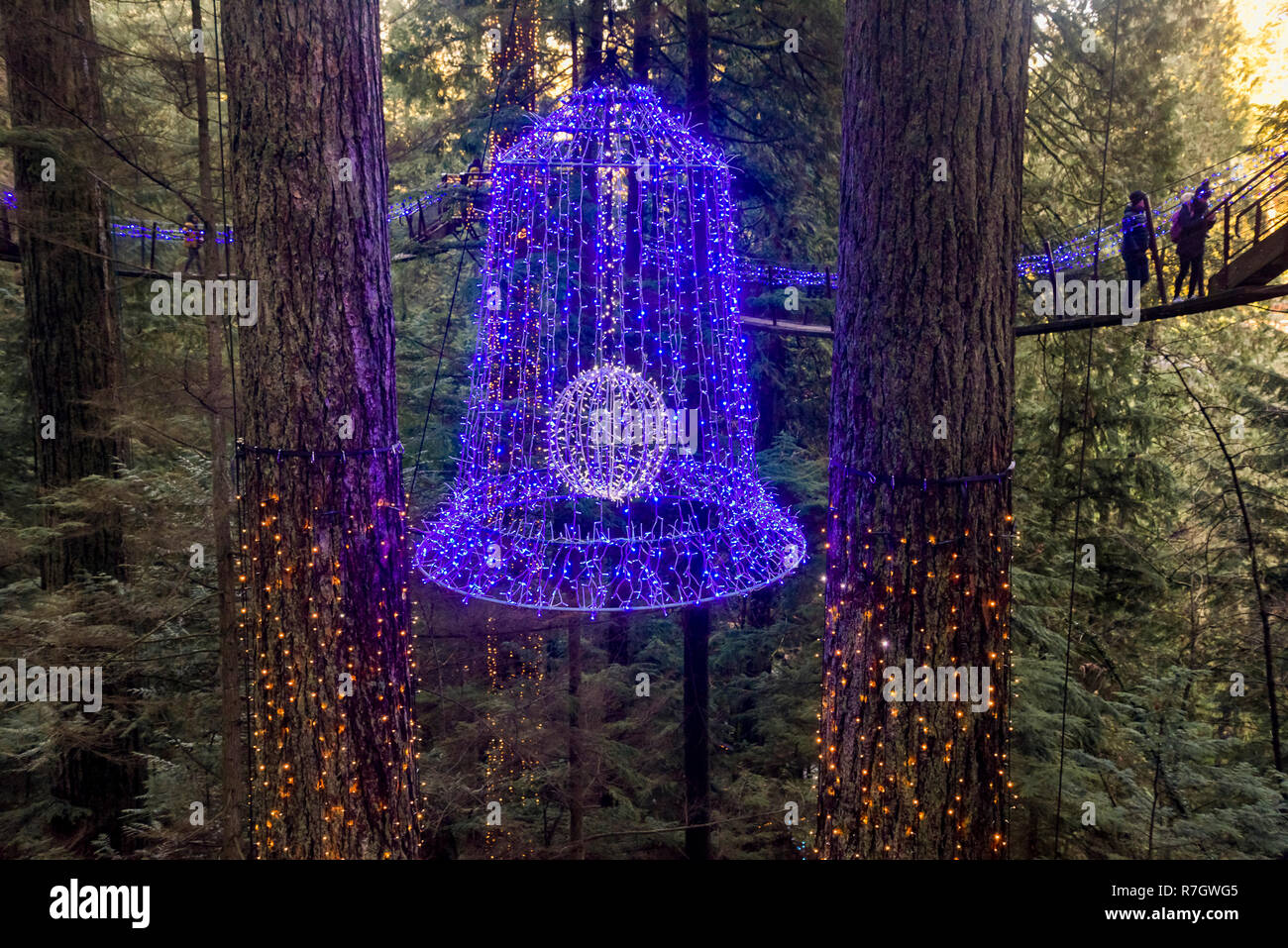 Treetops Adventure and Canyon Lights, Capilano Suspension Bridge Park ...
