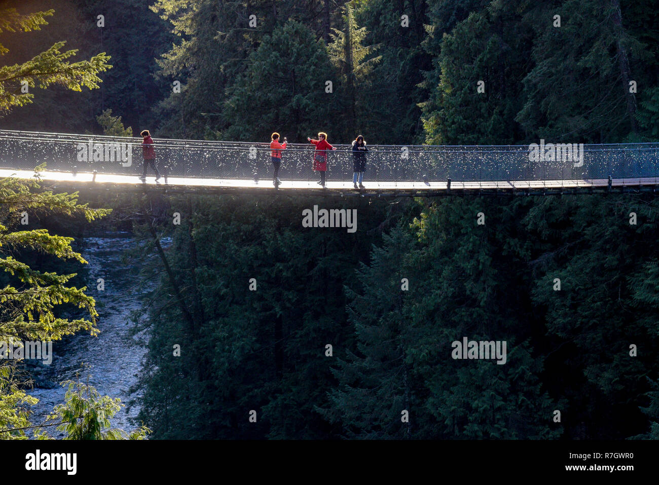 Capilano river suspension bridge hi-res stock photography and images ...