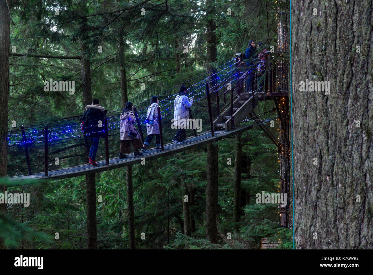 Treetops Adventure and Canyon Lights, Capilano Suspension Bridge Park ...