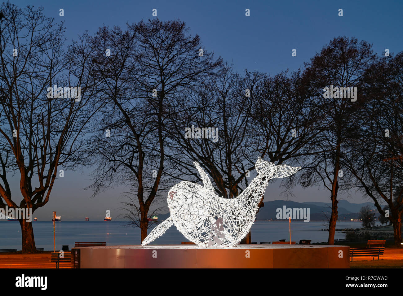 Killer whale display hi-res stock photography and images - Alamy