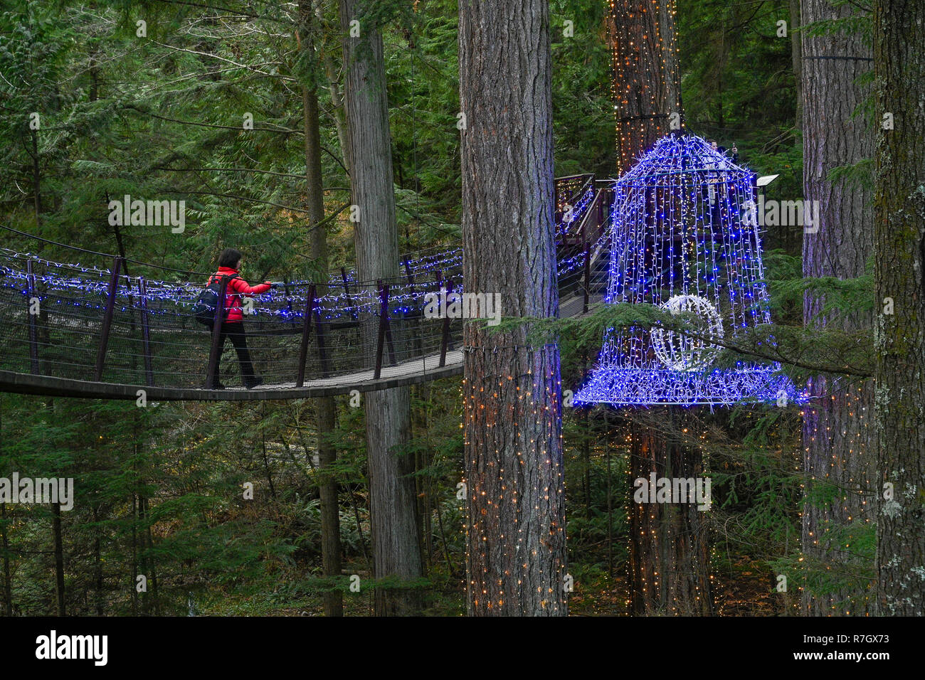 Capilano Suspension Bridge Lights High Resolution Stock Photography and ...