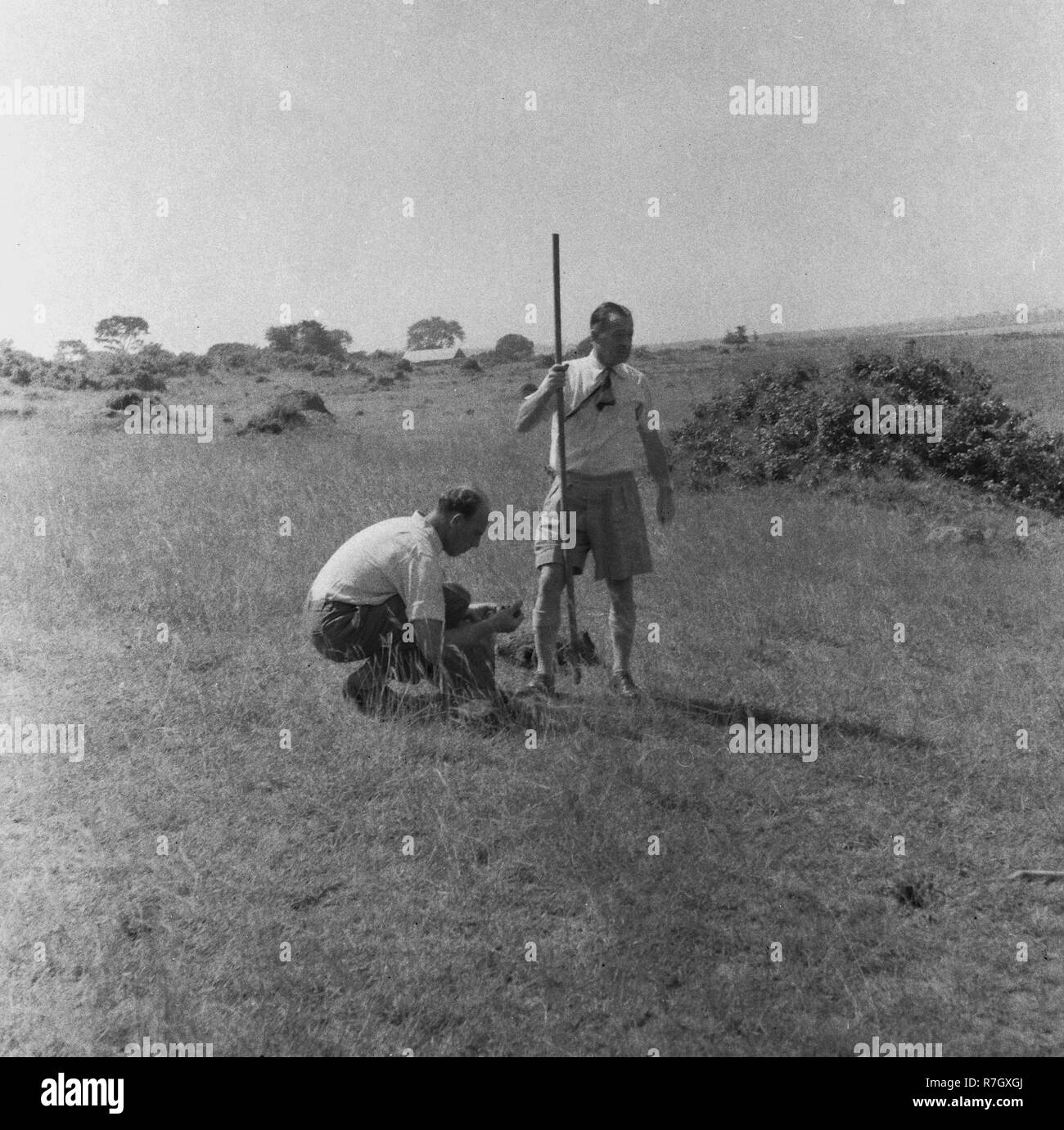 1950s, Africa, rural Uganda, two British farmers on their land Stock ...