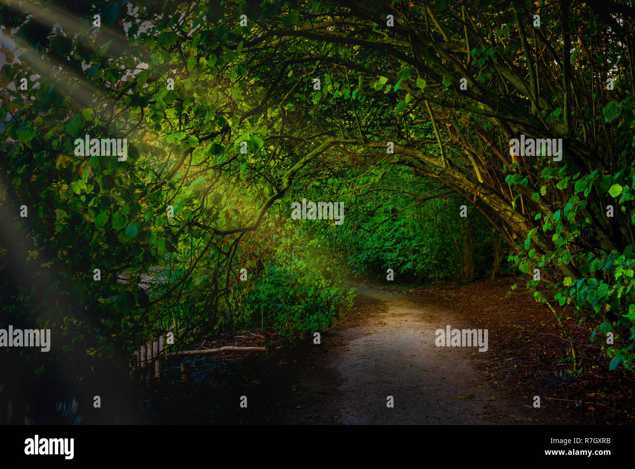 De Blaarmeersen is a recreational area (100 hectares) in the Belgian ...