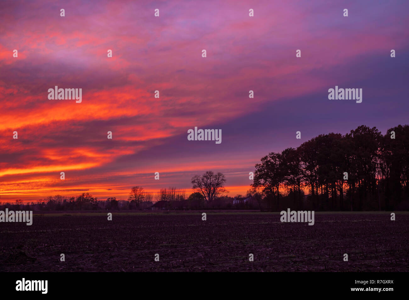 The golden hour, also called magic hour, is a term from photography ...