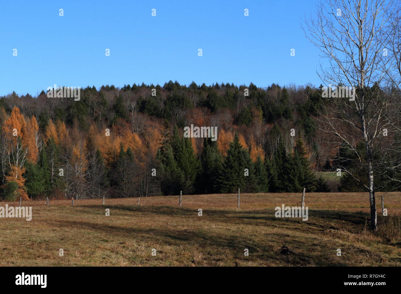 Farm fields in quebec hi-res stock photography and images - Alamy