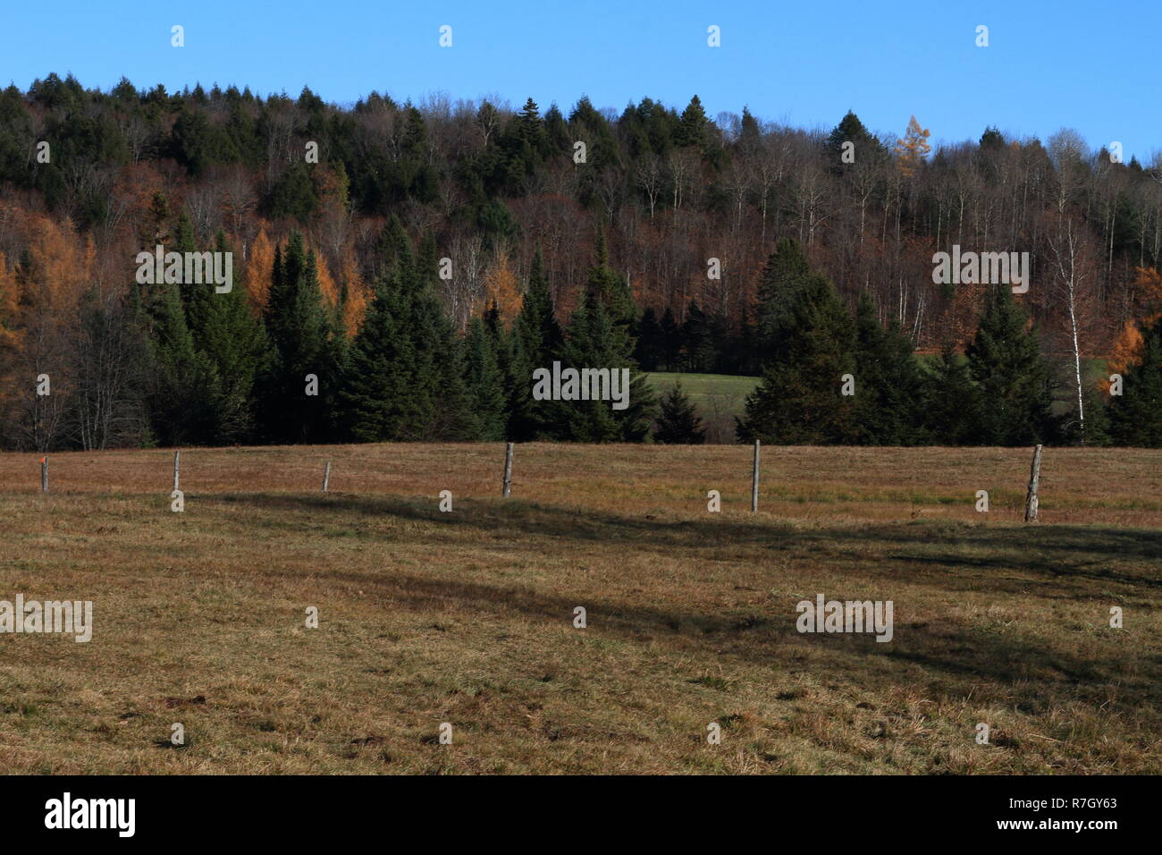 Farm fields in quebec hi-res stock photography and images - Alamy