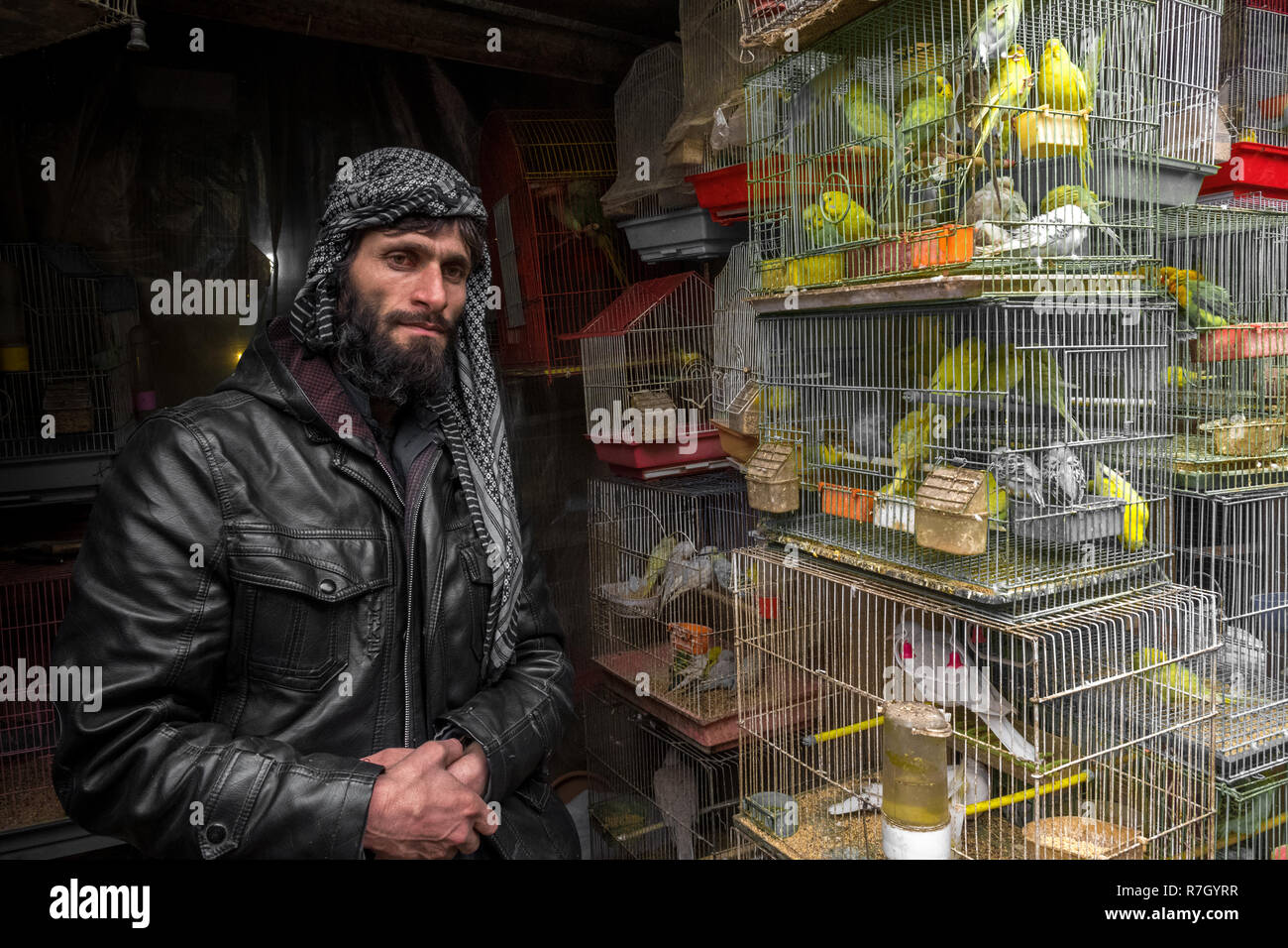 Bazaari man with colourful birds at the Bird's Bazaar, Kabul, Kabul ...