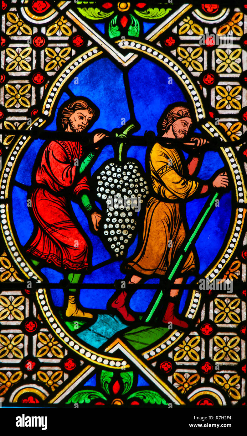 Stained Glass in the Cathedral of Monaco, depicting Men Carrying Grapes ...