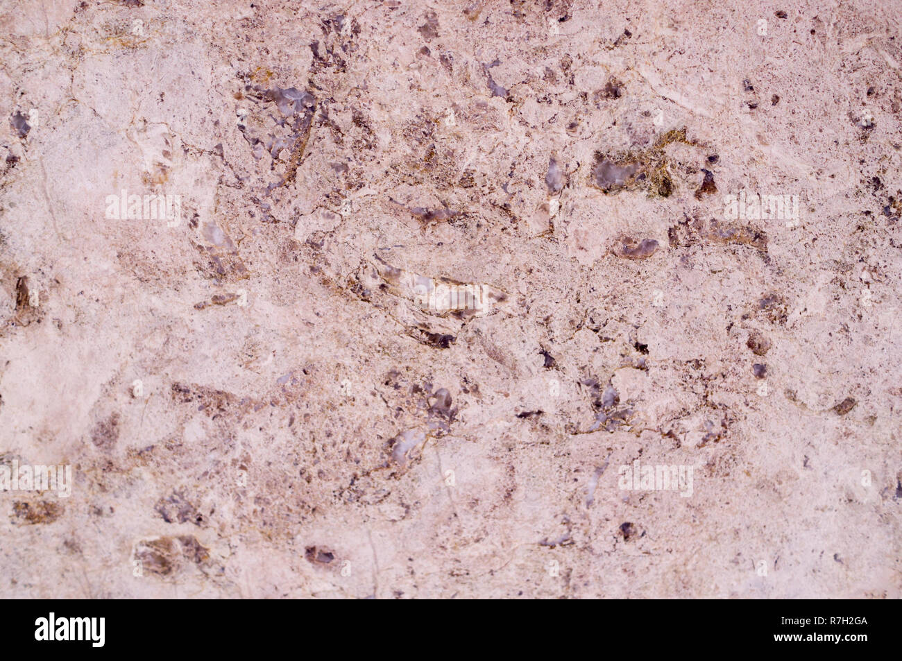 pink marble texture interspersed with quartz. background, geological ...