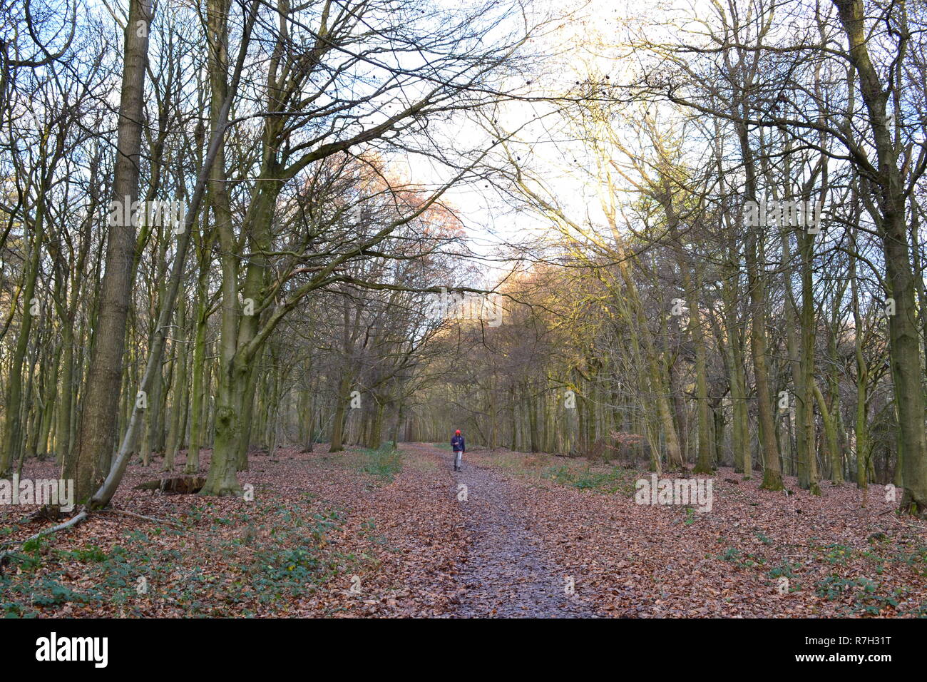 Kent Countryside Uk Winter High Resolution Stock Photography and Images ...