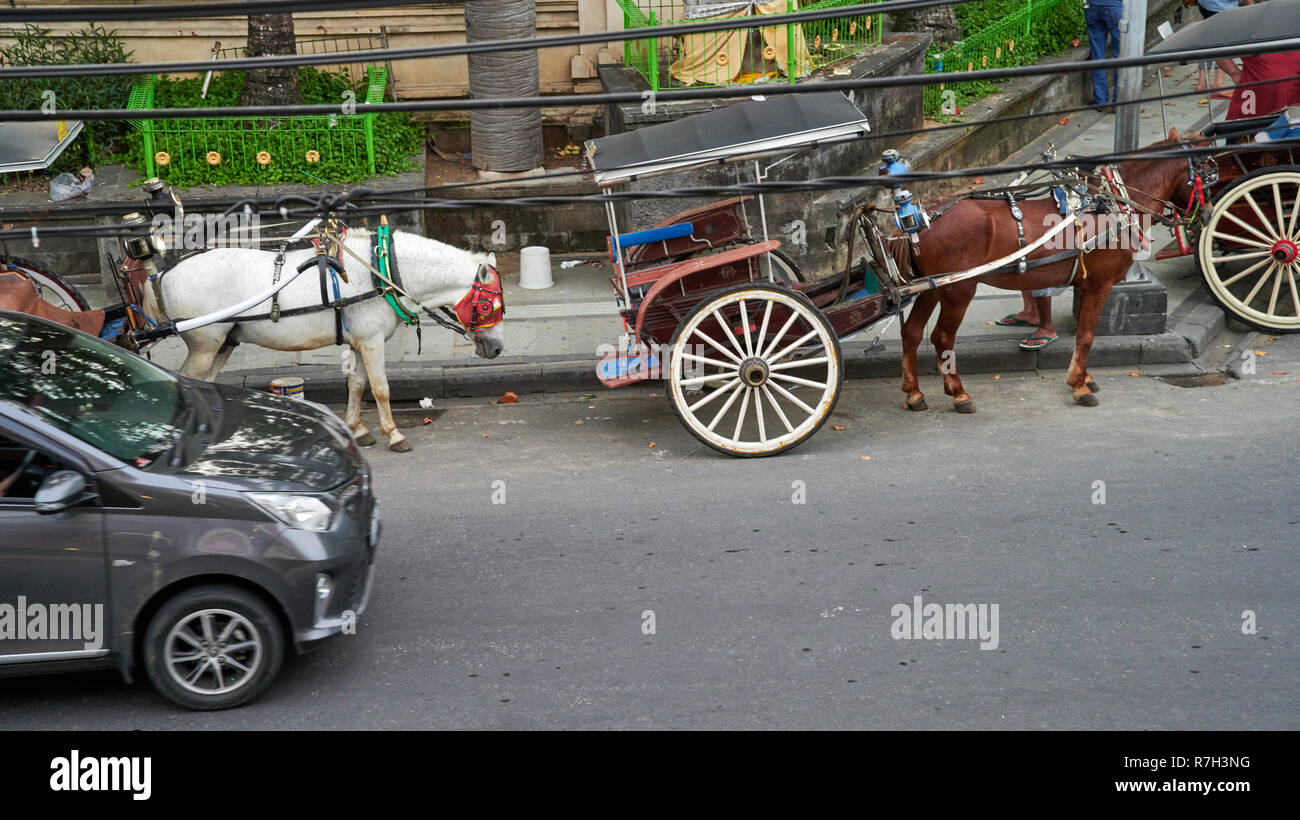 Daily Beach Life Stock Photo - Alamy