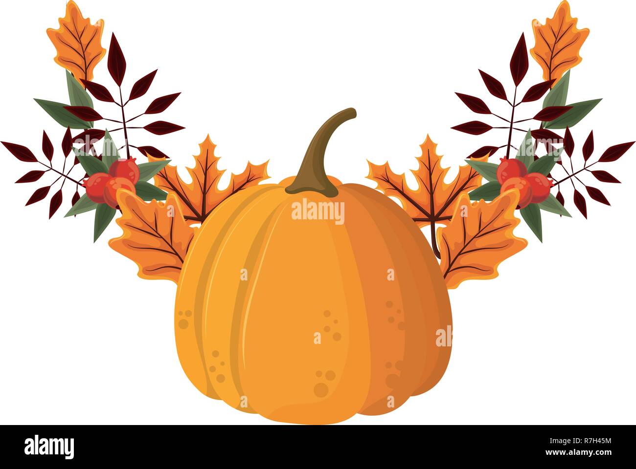 thanksgiving day pumpkin Stock Vector Image & Art - Alamy