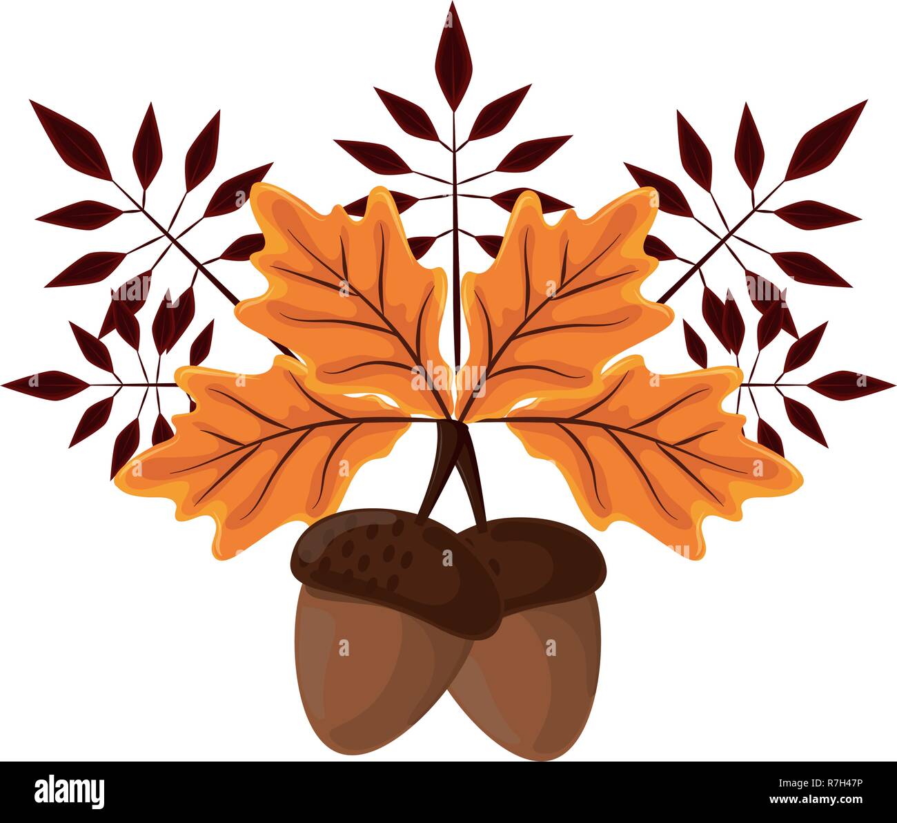 thanksgiving day nuts Stock Vector Image & Art - Alamy