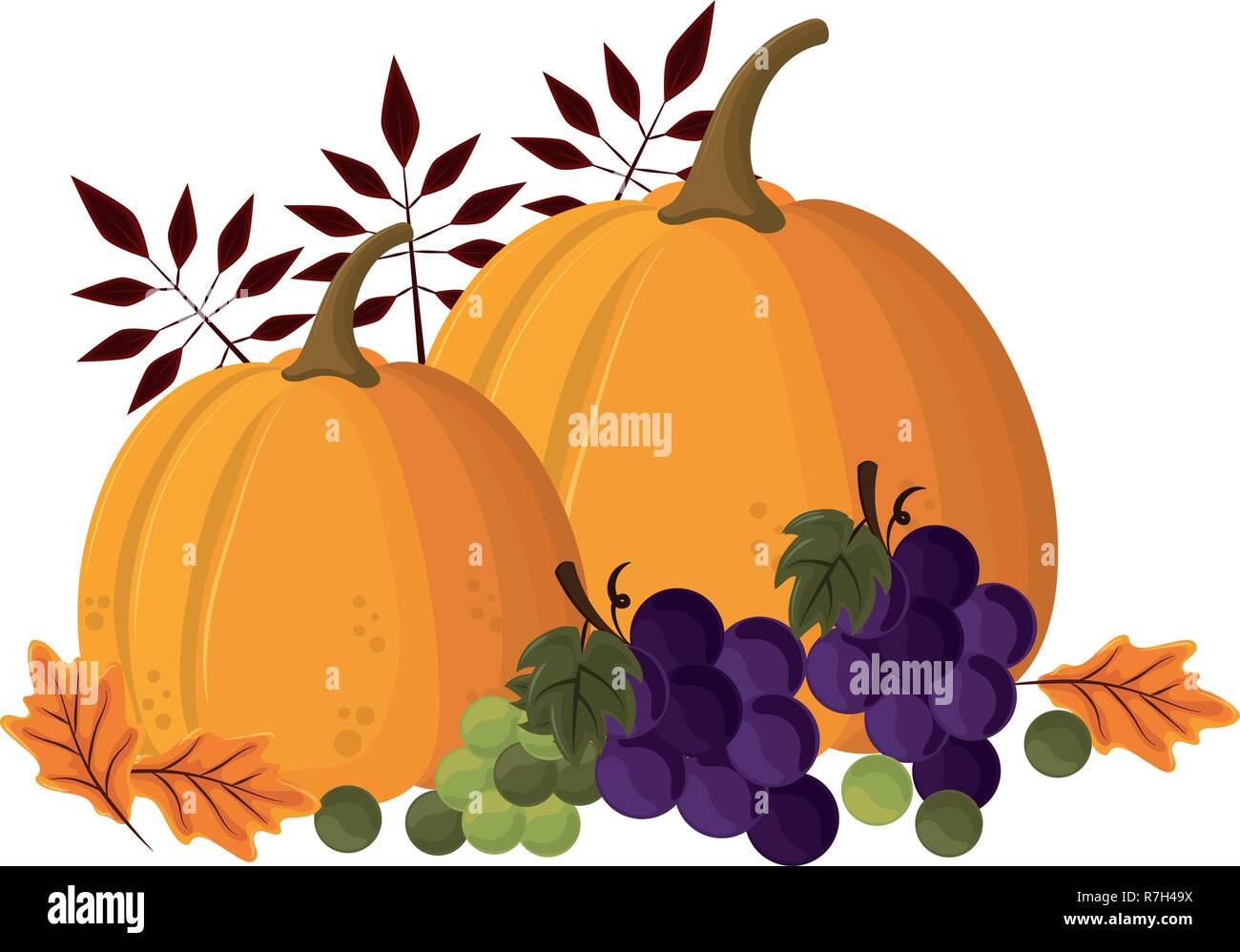thanksgiving day pumpkin Stock Vector Image & Art - Alamy