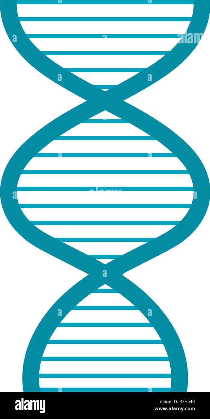 Dna repair Stock Vector Images - Alamy