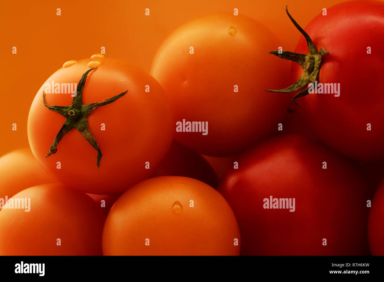 Vegetables isolated growing tomatoes hi-res stock photography and ...