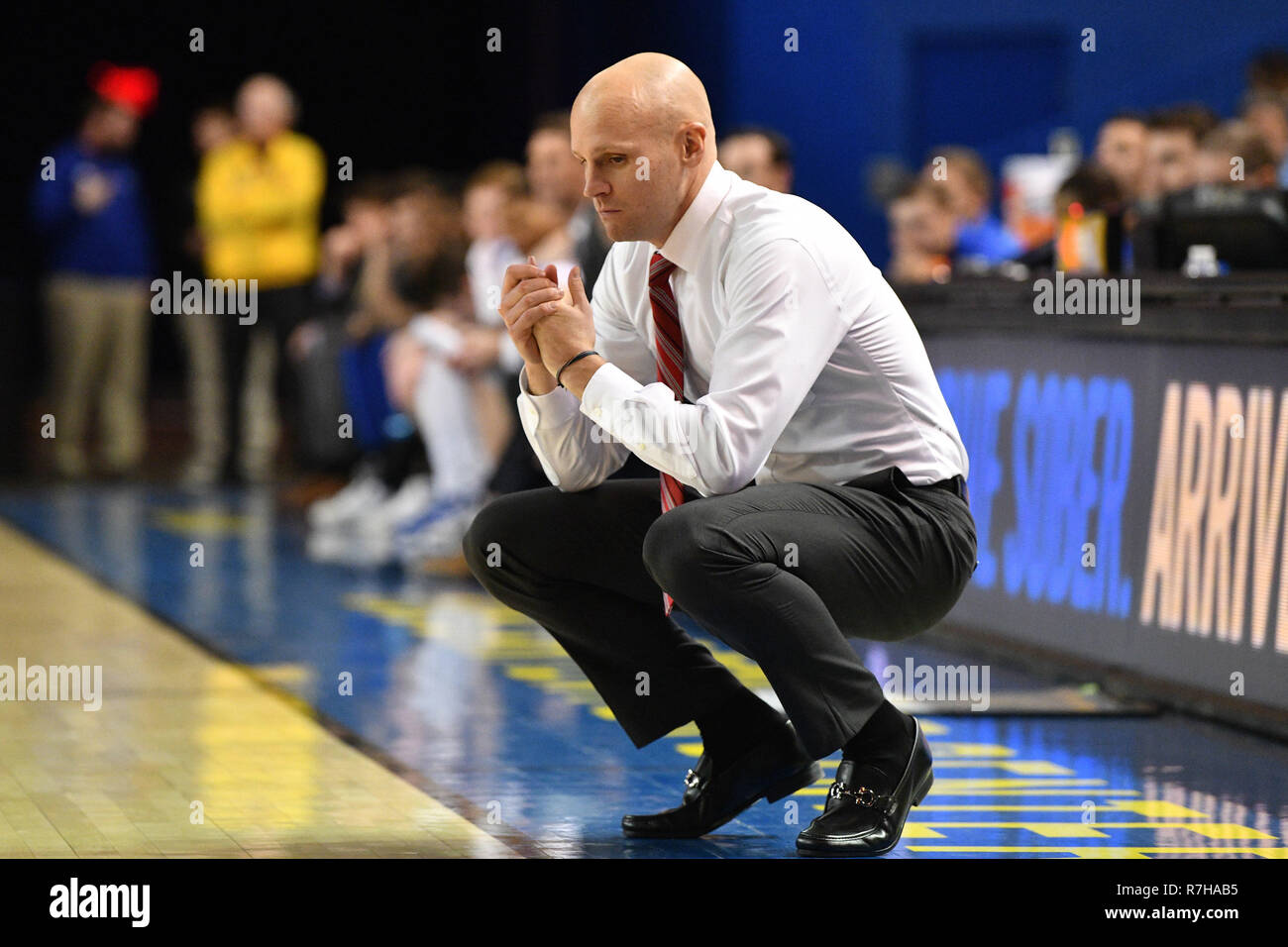 Hens on her head hi-res stock photography and images - Alamy