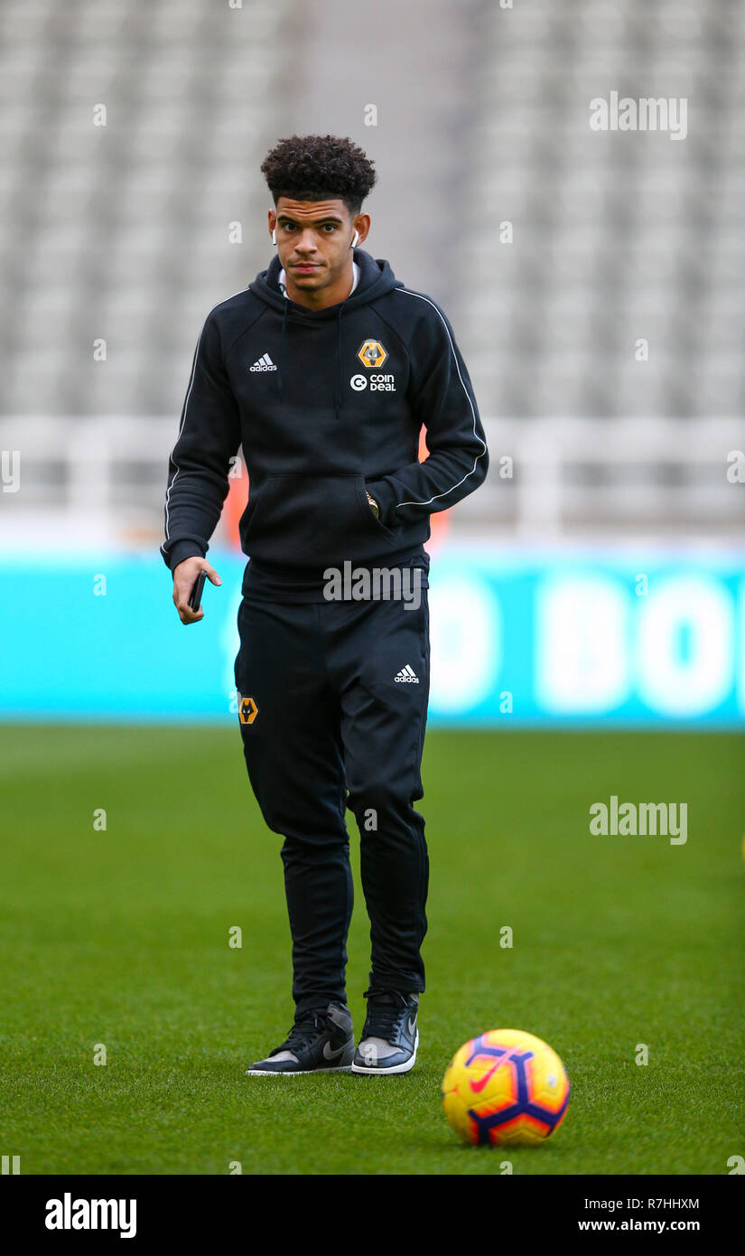 Morgan gibbs white wolves hi-res stock photography and images - Alamy