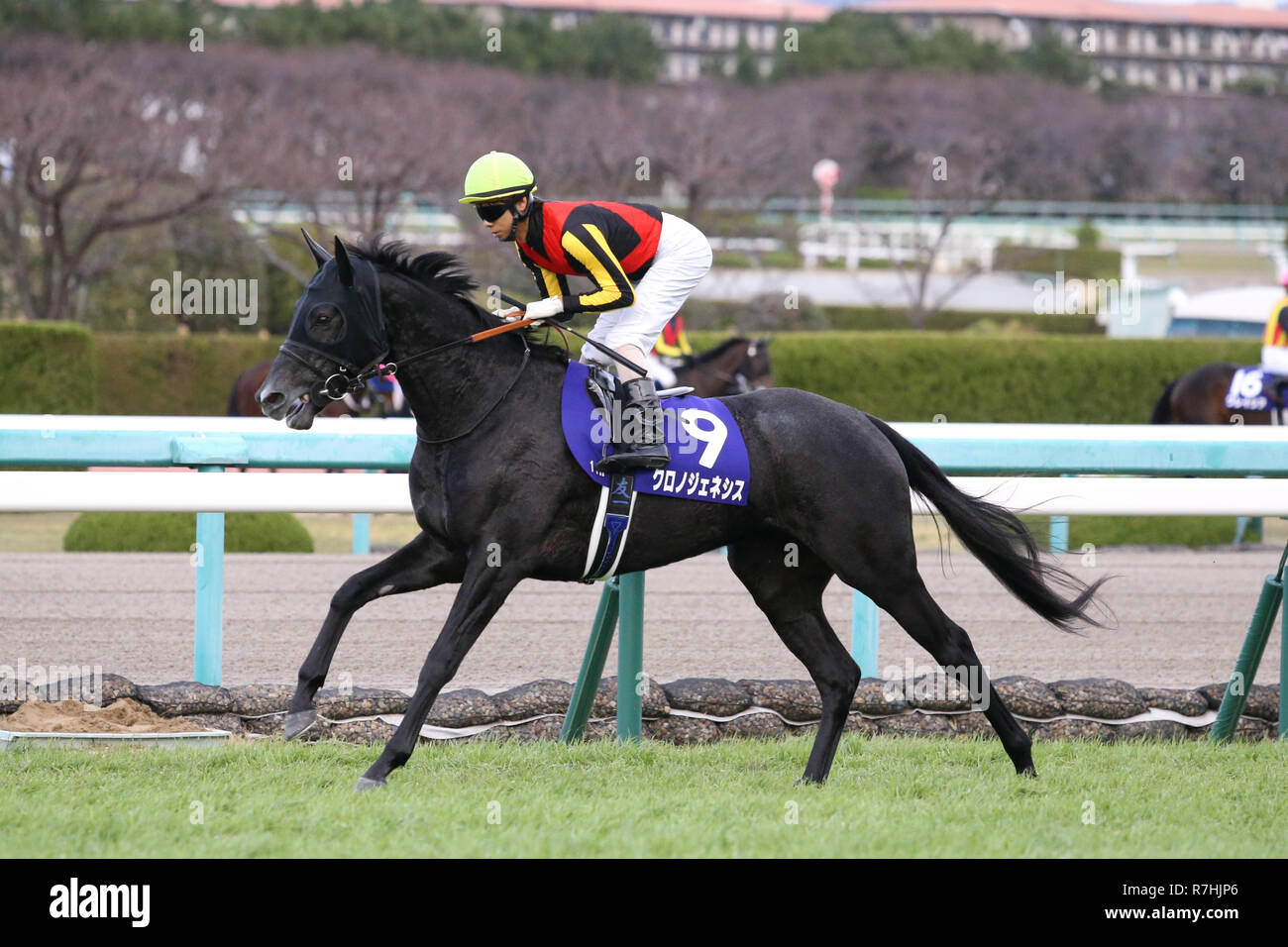 Chrono genesis hi-res stock photography and images - Alamy