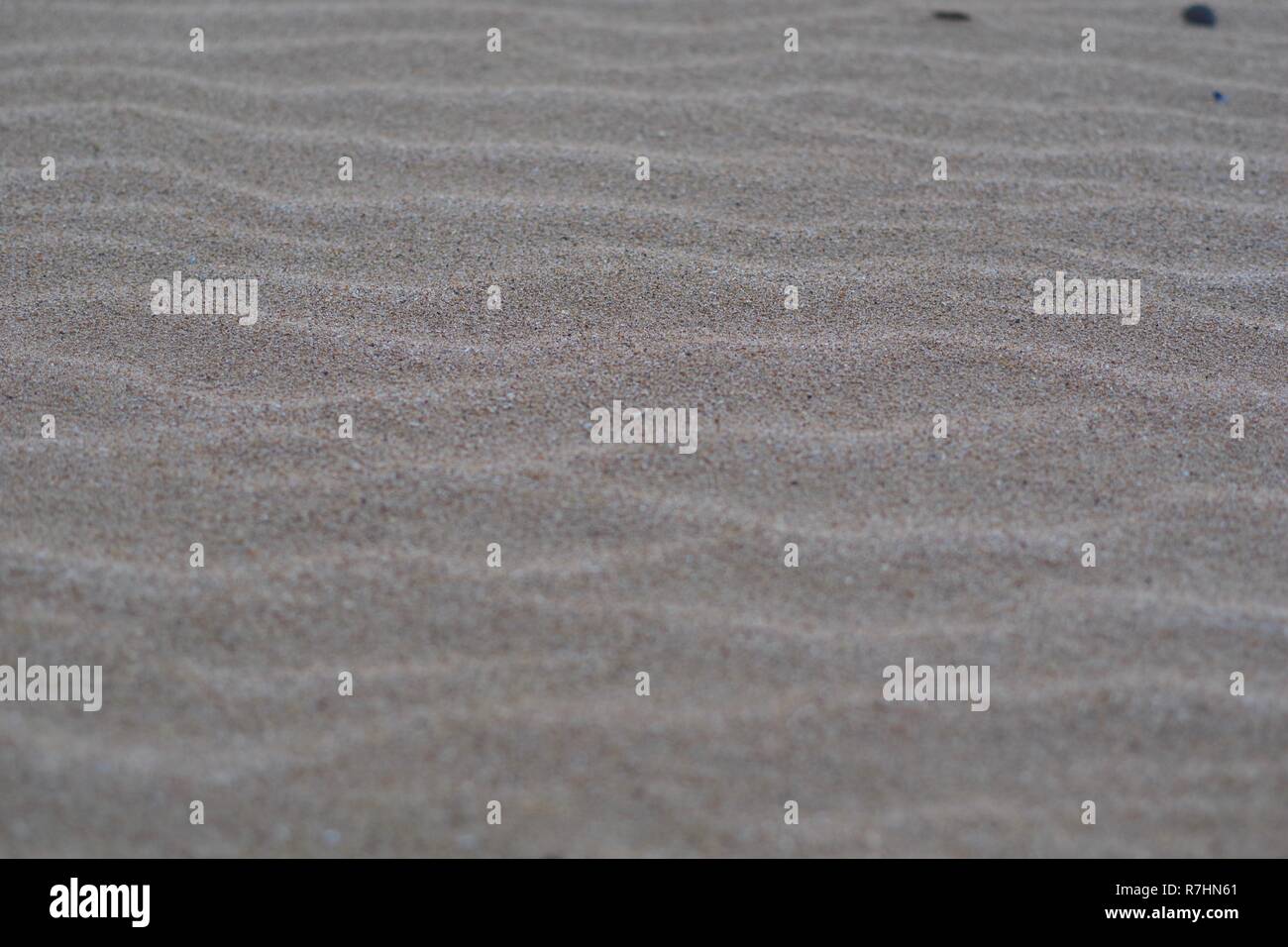 Close up of Rippled Beach Sand. Aeolian Sedimentary Structure, Natural ...