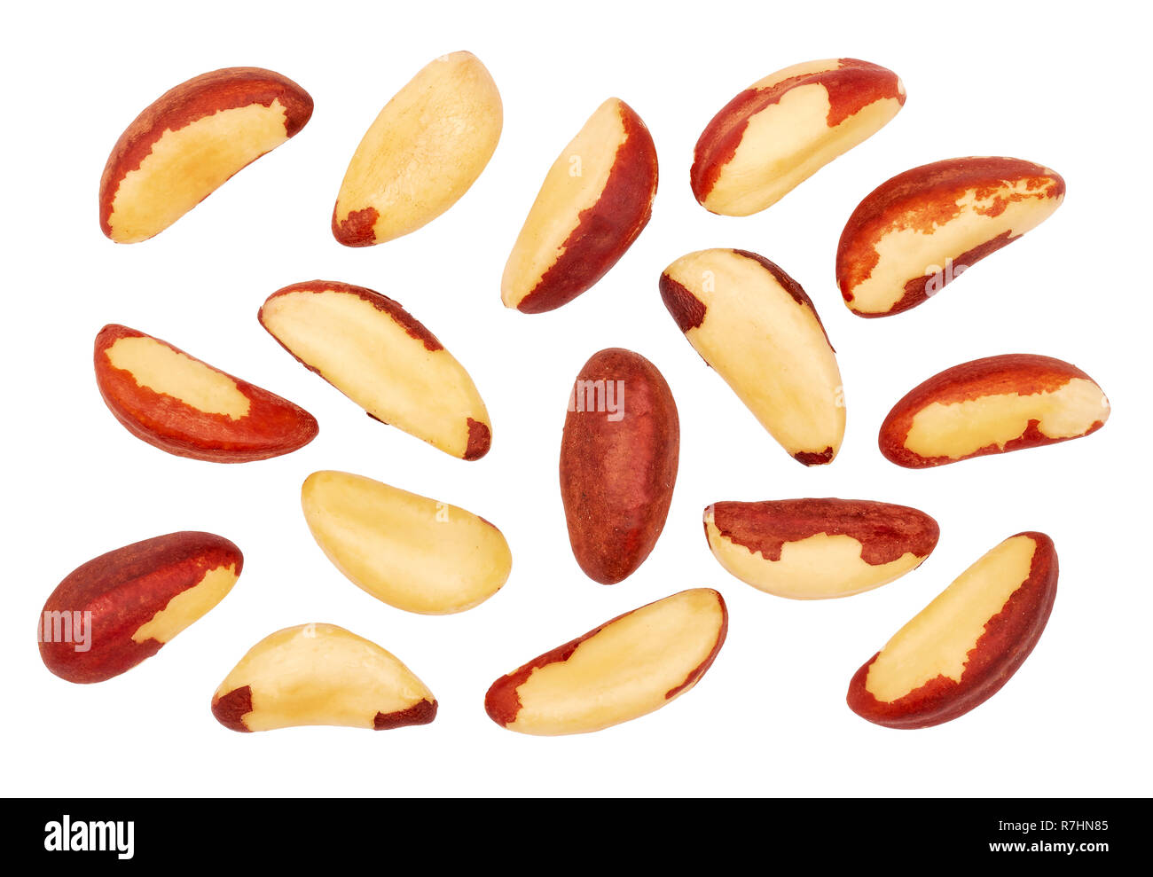 Brazil nuts (Bertholletia excelsa) isolated on a white background, top ...