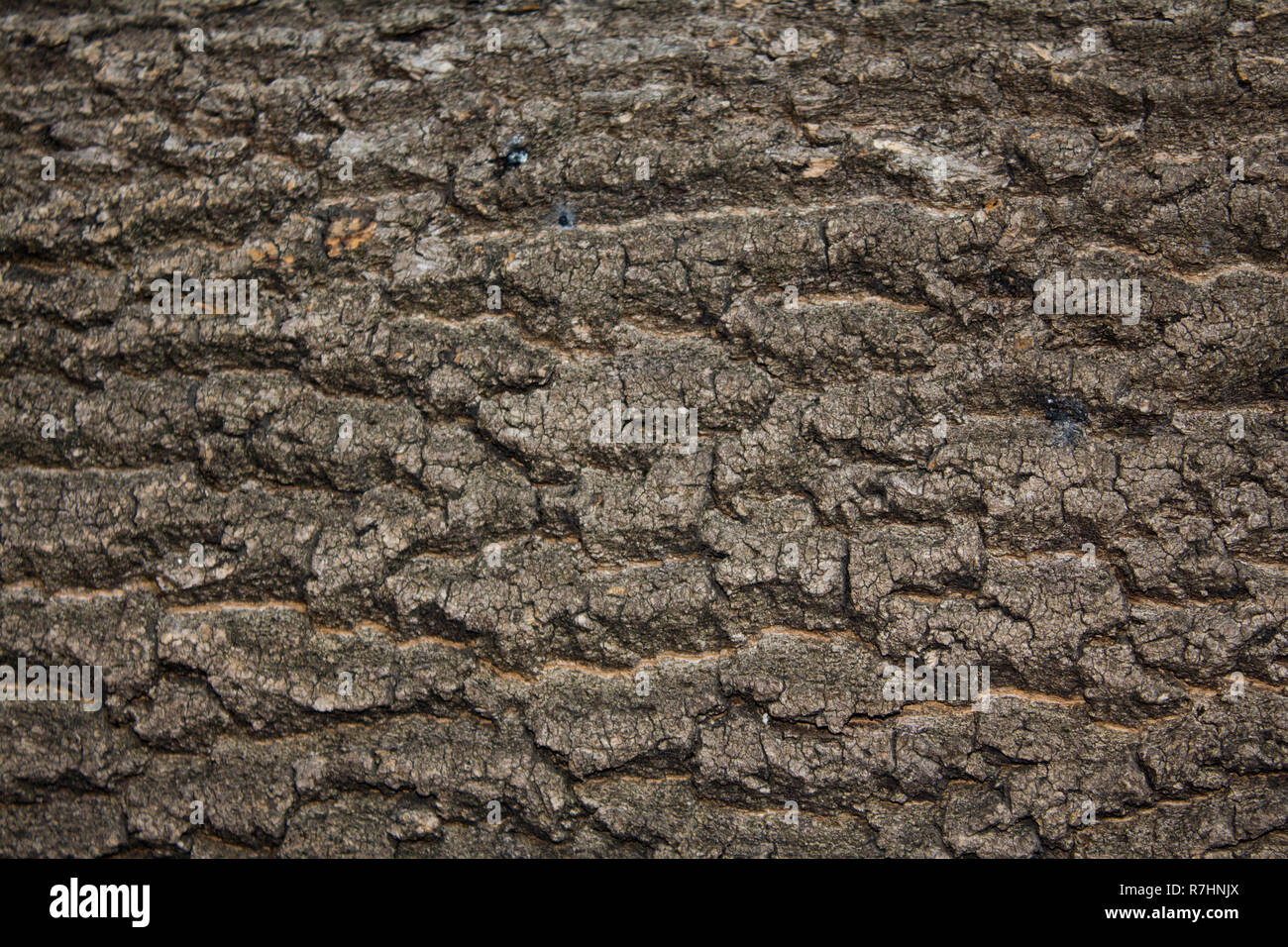 Tough texture hi-res stock photography and images - Alamy