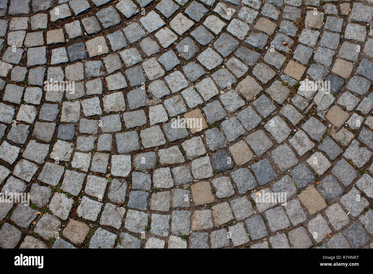 Grey floor blocks pavement texture Stock Photo - Alamy