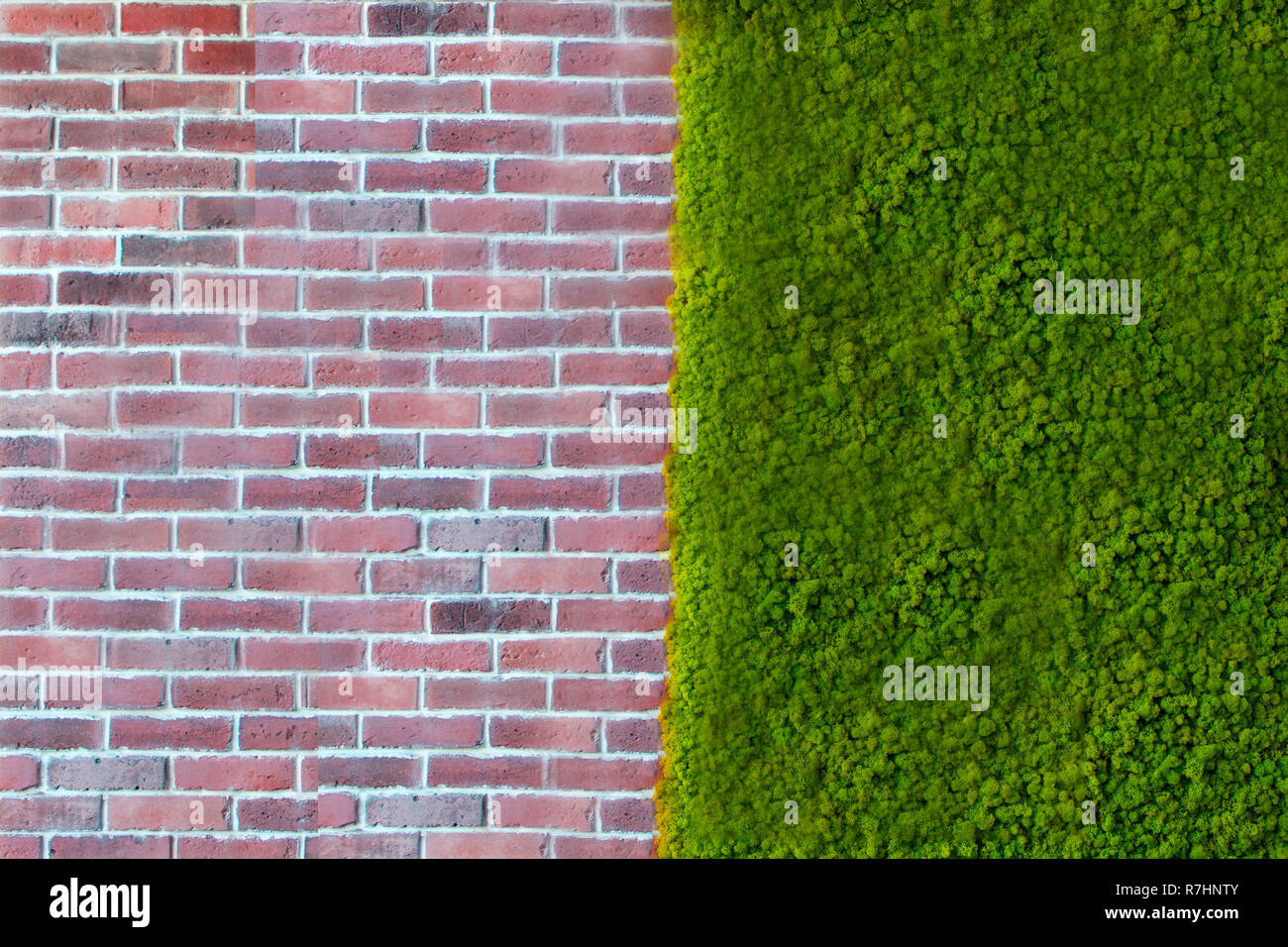 Wall bricks texture with green plants Stock Photo - Alamy