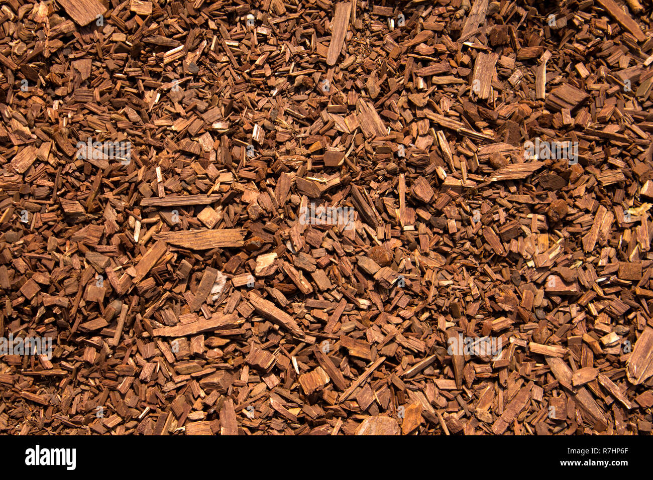 Carpenter diy hi-res stock photography and images - Alamy