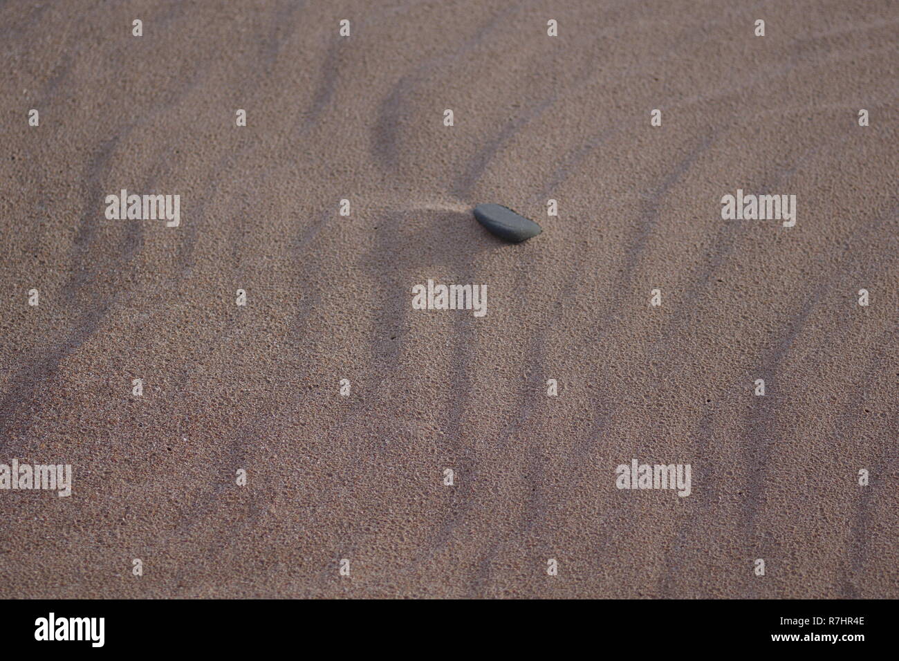 Close up of a Lone Pebble on Rippled Beach Sand. Aeolian Sedimentary ...