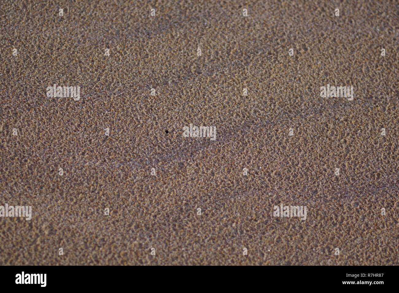 Close up of Rippled Beach Sand. Aeolian Sedimentary Structure, Natural ...