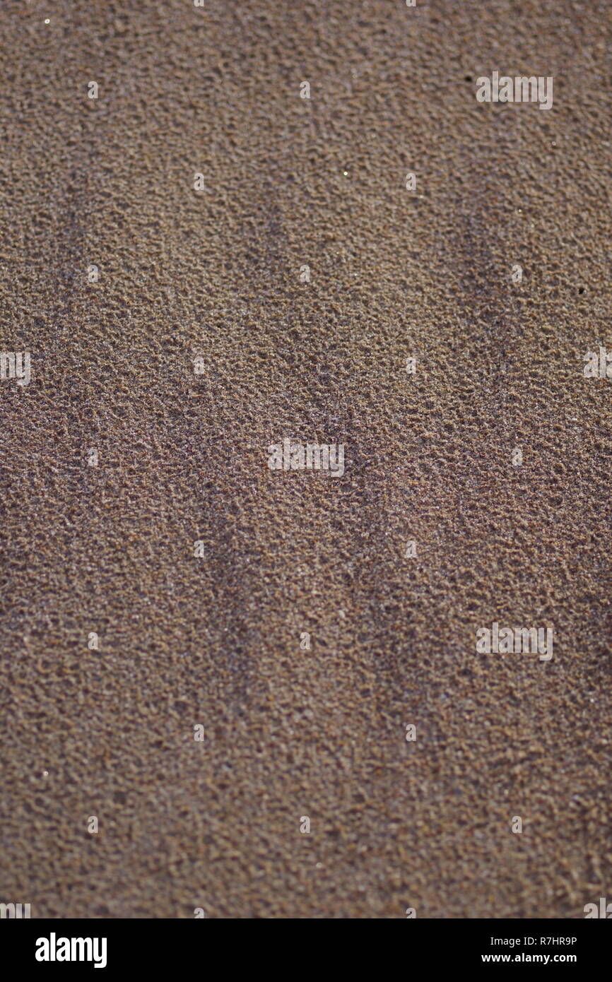 Close up of Rippled Beach Sand. Aeolian Sedimentary Structure, Natural ...