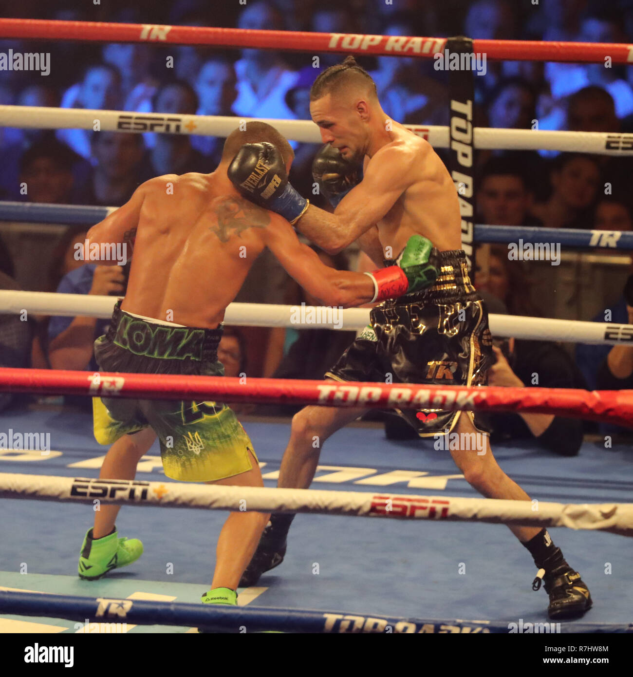 Loma boxing hi-res stock photography and images - Alamy