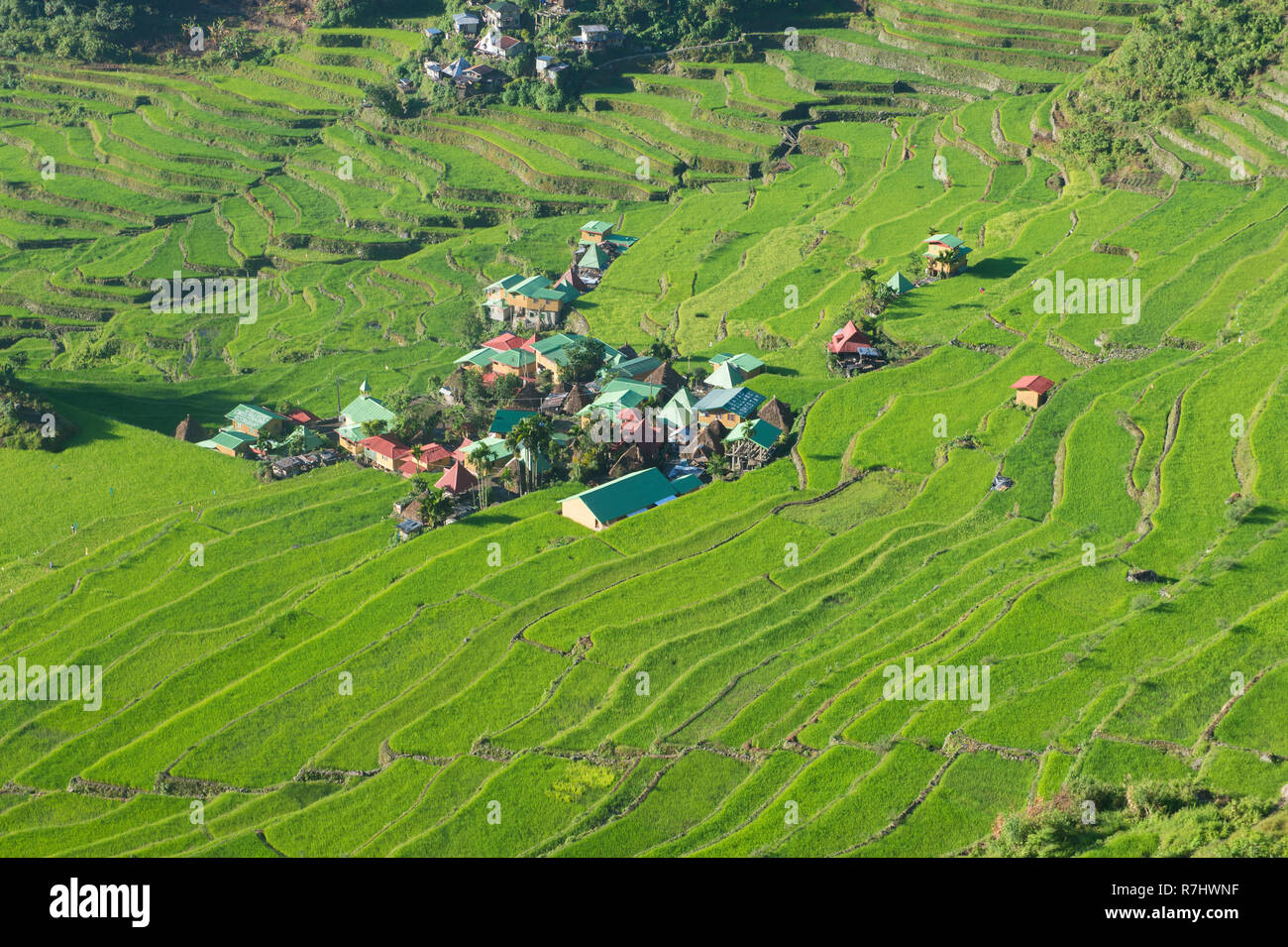 View of rice terraces fields in Banaue, Philippines. The Banaue rice ...