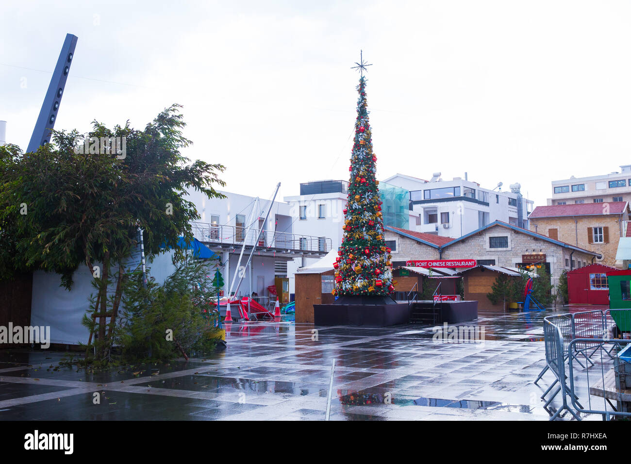 Paphos christmas tree hi-res stock photography and images - Alamy