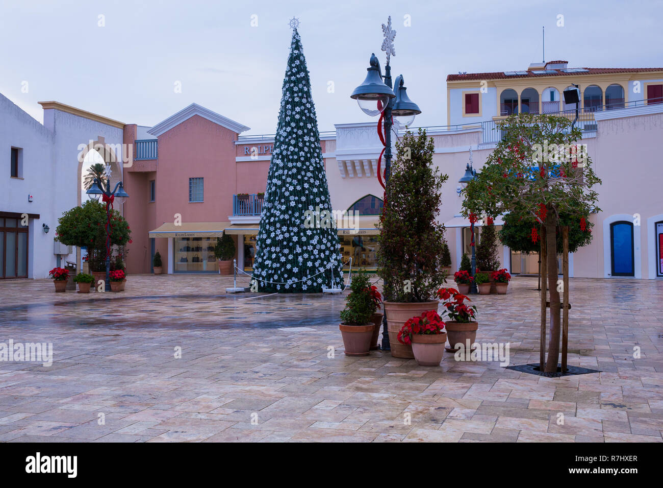 Paphos christmas tree hi-res stock photography and images - Alamy