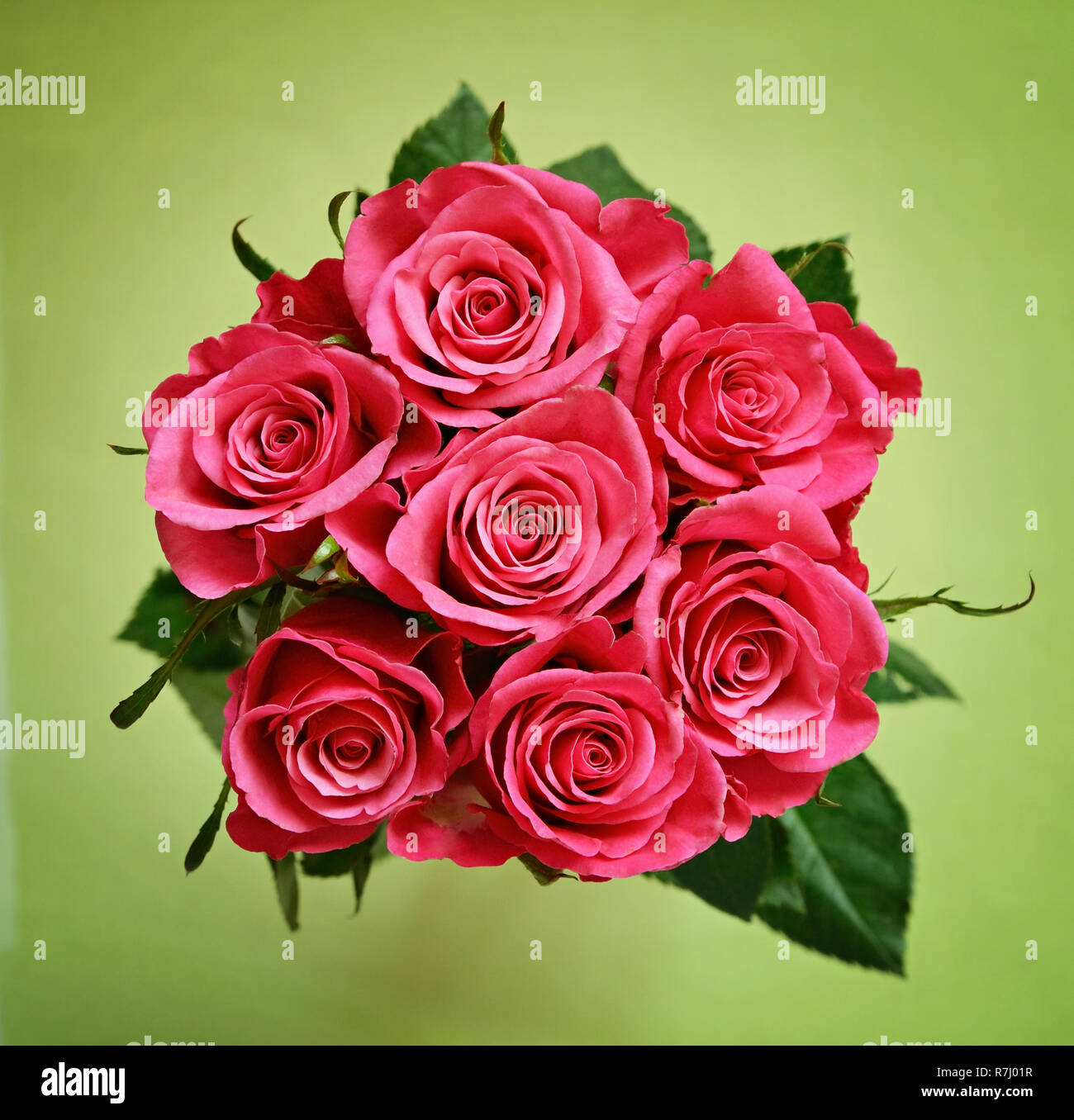 Round bouquet of roses on green background Stock Photo - Alamy