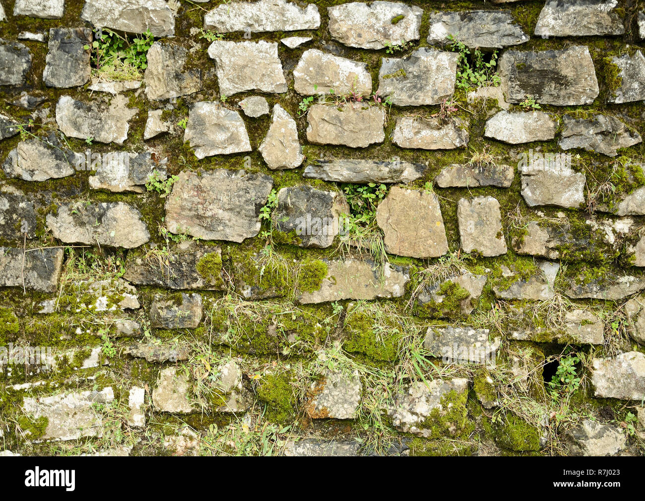 Old stone wall covered with moss and grass Stock Photo - Alamy