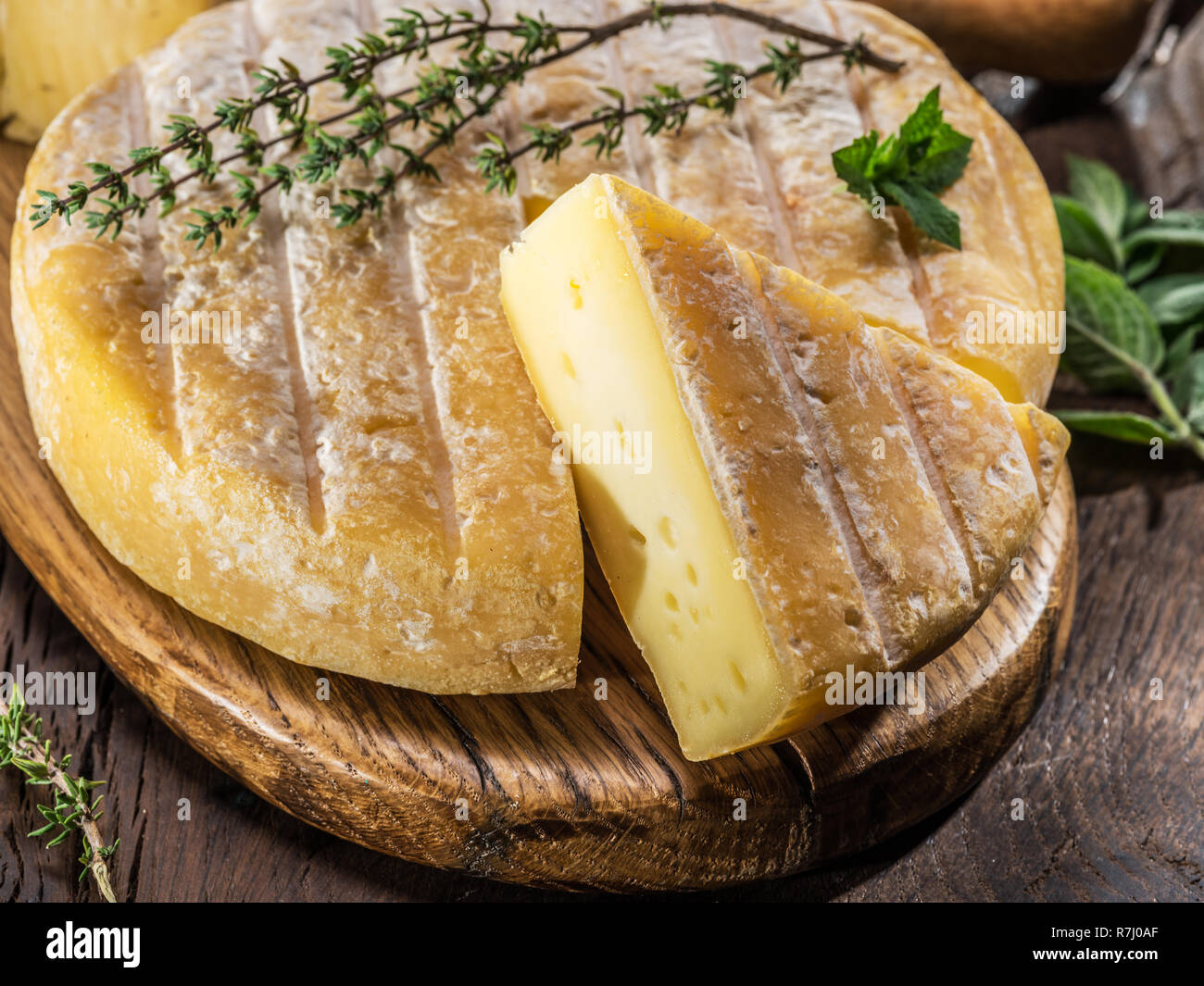Homemade cheese wheel on the dark wooden background. Close-up Stock ...