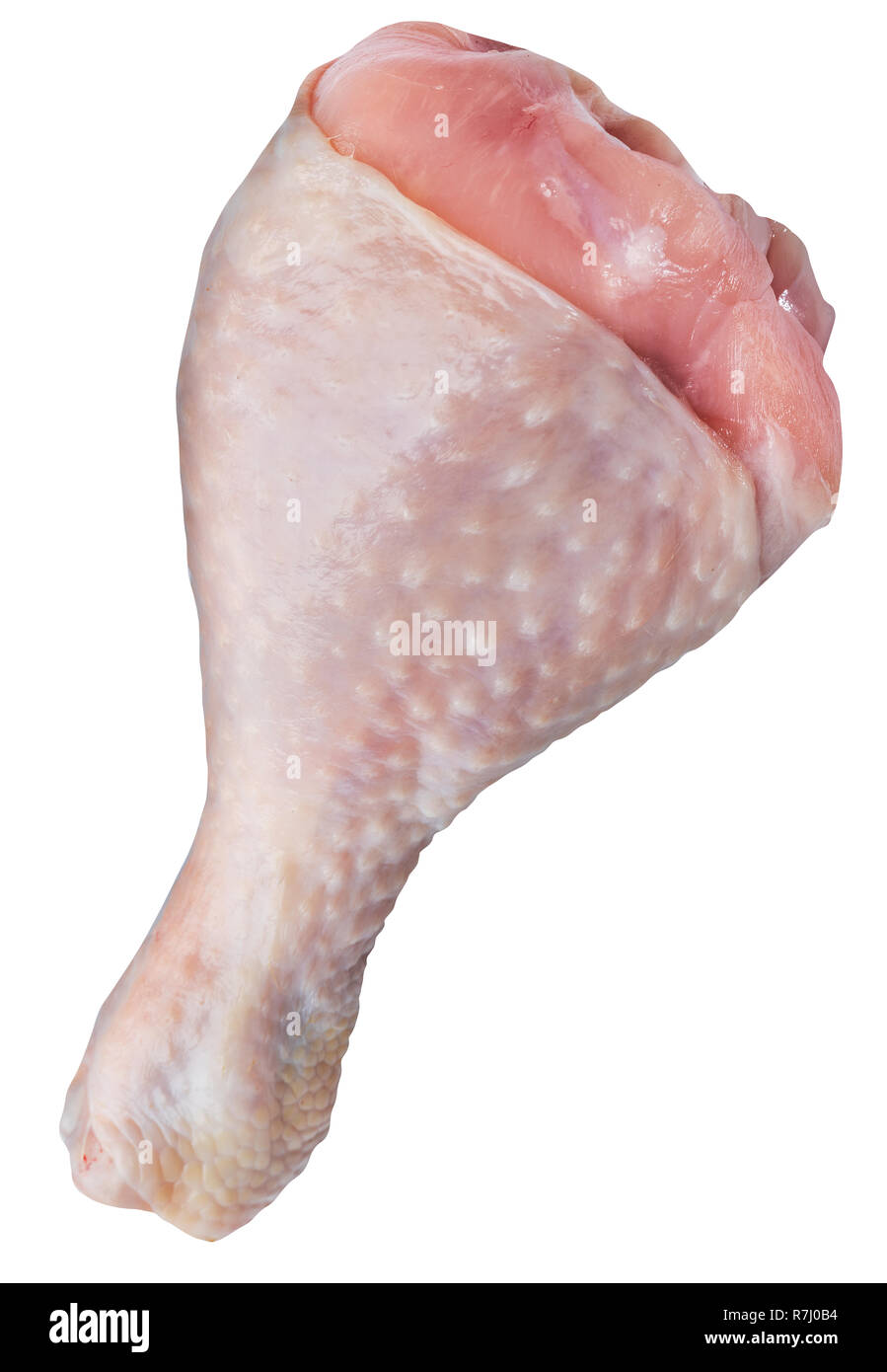 Chicken leg on white background. File contains clipping path Stock ...
