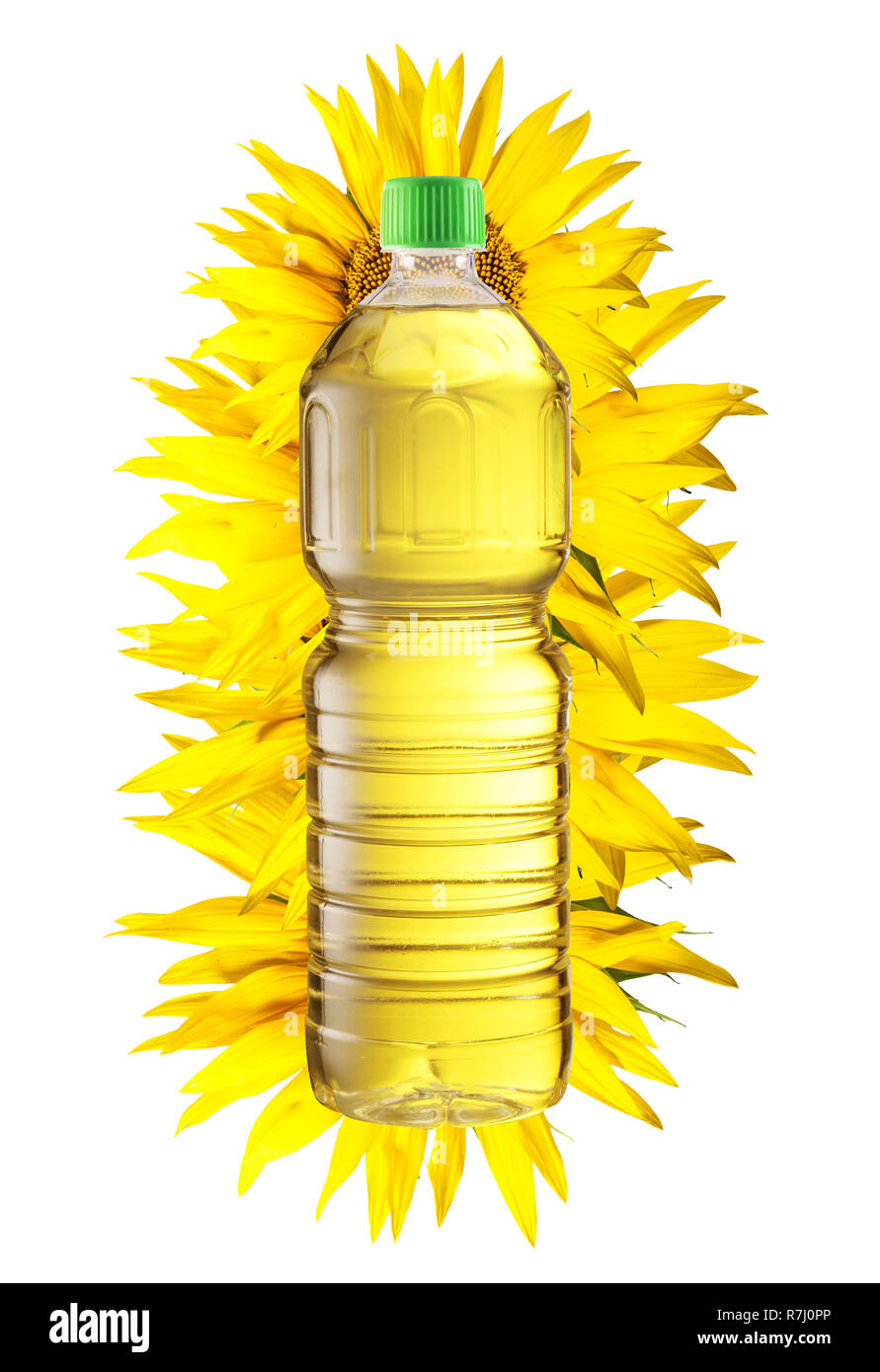 Bottle of sunflower oil and sunflower at the background. File contains ...