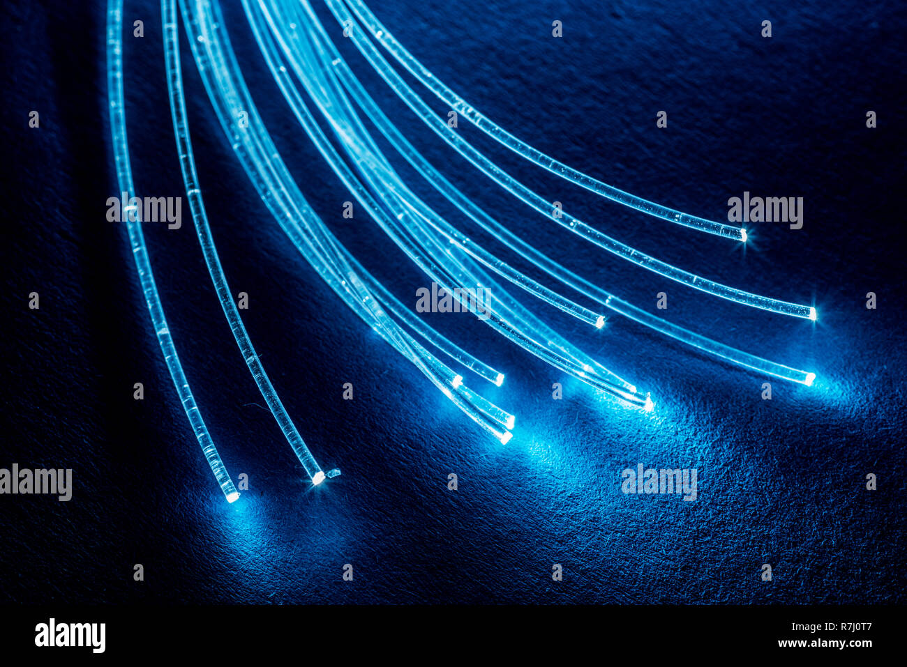 Bundle of optical fibers with lights in the ends. Blue background Stock ...