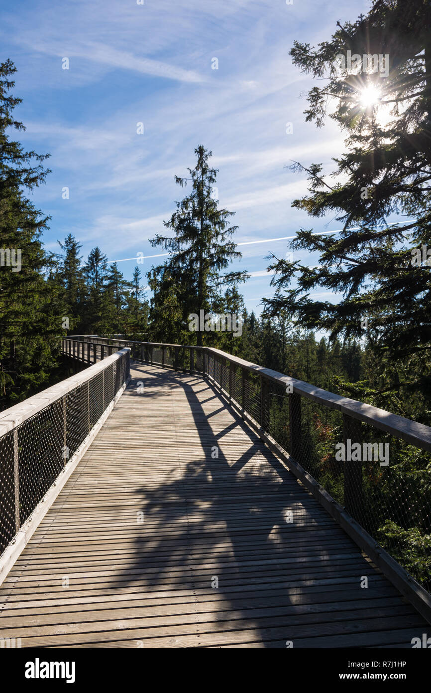 Sumava national park hi-res stock photography and images - Alamy